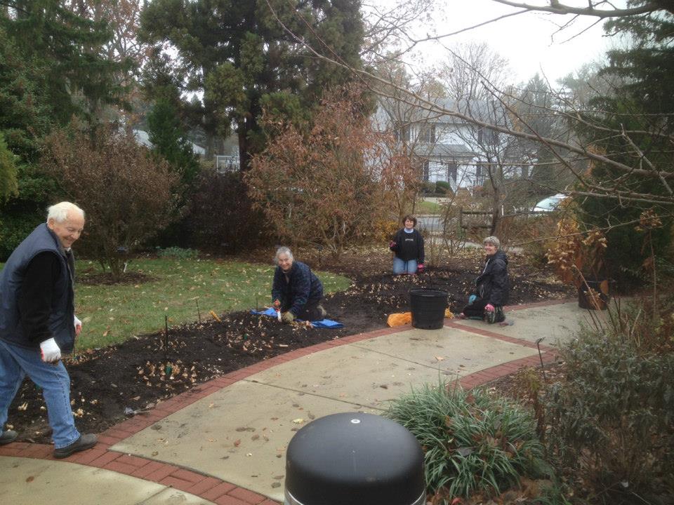 The Linwood Arboretum – Linwood Arboretum featuring uncommon trees and ...