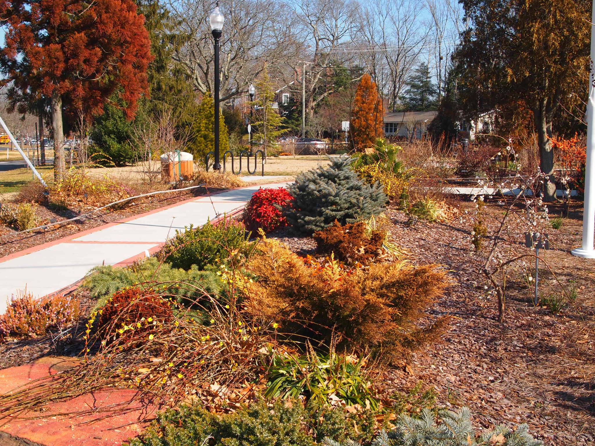 The Linwood Arboretum – Linwood Arboretum featuring uncommon trees and ...