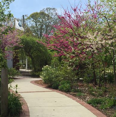 The Linwood Arboretum – Linwood Arboretum featuring uncommon trees and ...