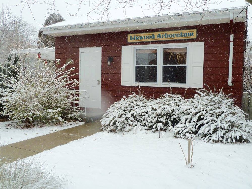 The Linwood Arboretum – Linwood Arboretum featuring uncommon trees and ...