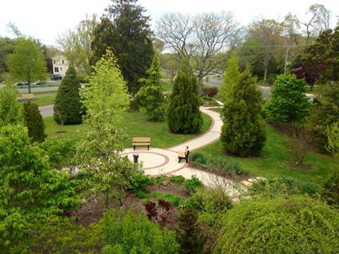 The Linwood Arboretum – Linwood Arboretum featuring uncommon trees and ...