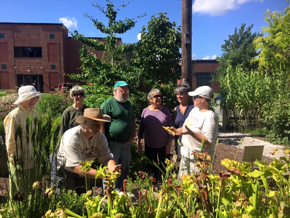 The Linwood Arboretum – Linwood Arboretum featuring uncommon trees and ...
