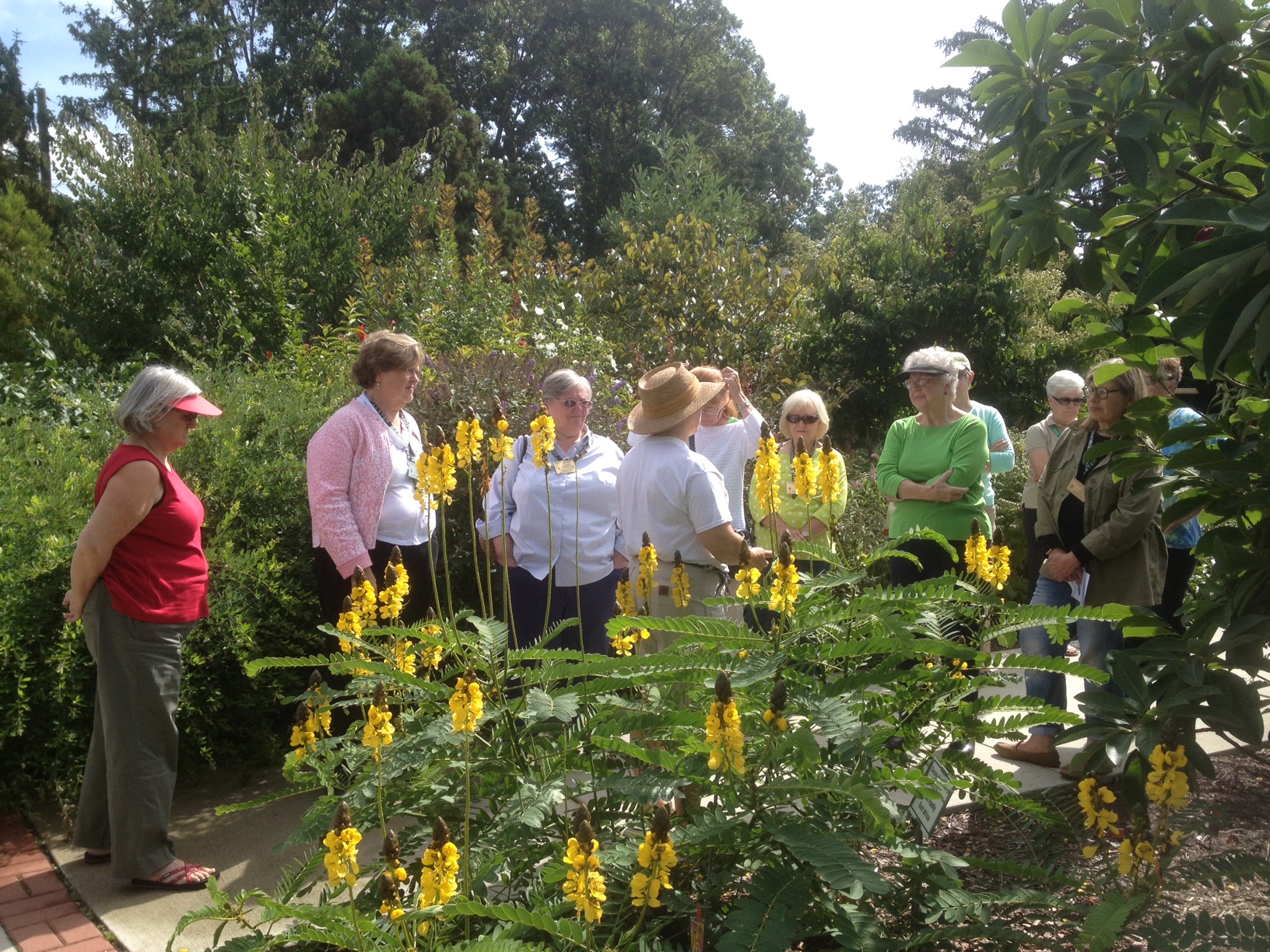 The Linwood Arboretum – Linwood Arboretum featuring uncommon trees and ...